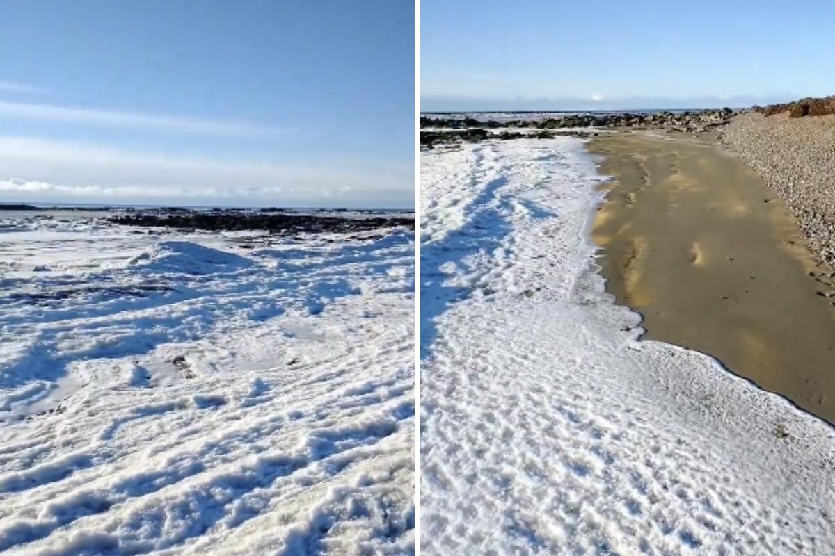 Vídeo mostra mar congelado em região Sul da Argentina; veja - Mundo - Diário do Nordeste